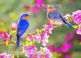 generally speaking - معنی تخصصی در دیکشنری آبادیس