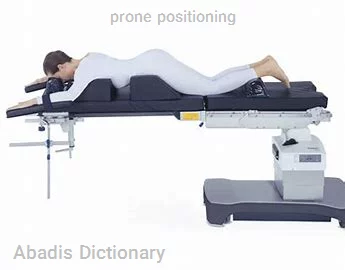 prone positioning - معنی تخصصی در دیکشنری آبادیس