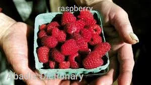 raspberry - معنی در دیکشنری آبادیس