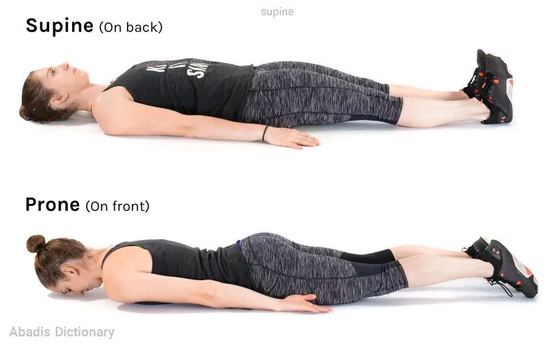 supine - معنی در دیکشنری آبادیس
