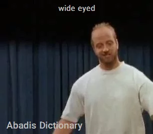 wide eyed - معنی تخصصی در دیکشنری آبادیس