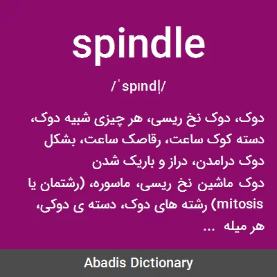 spindle - معنی در دیکشنری آبادیس